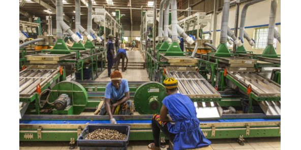 (Tribune): Et si l'Afrique refusait l'industrialisation? (Par Magaye ... (Tribune): Et si l'Afrique refusait l'industrialisation? (Par Magaye ...