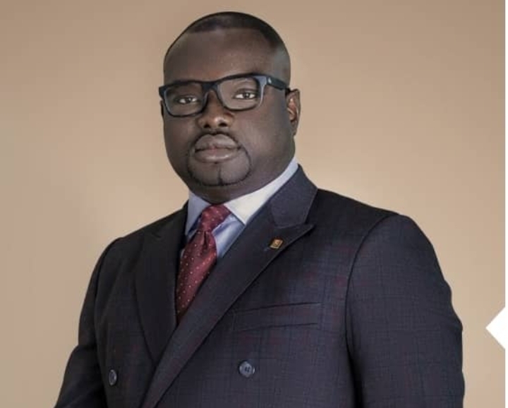 Qui est Ali Badini, le Directeur général de CREDIT ACCESS SA ...