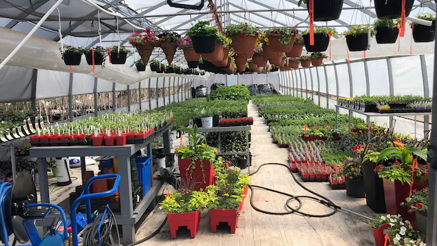 Relance de l'horticulture au Zimbabwe : Un nouveau souffle grâce au ...