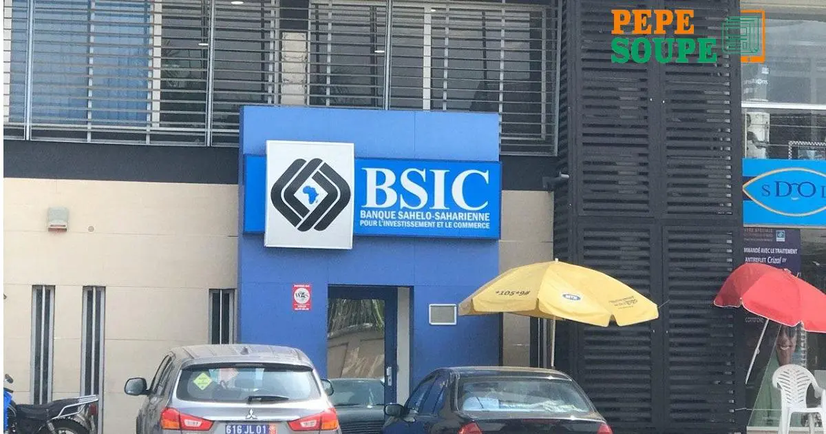 Côte d'Ivoire: la BSIC-CI-SA obtient 10 milliard de FCFA pour soutenir ...